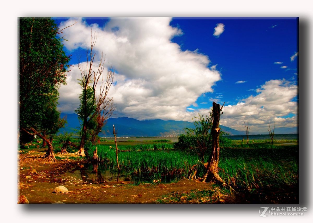 彩云之南-中关村在线摄影论坛