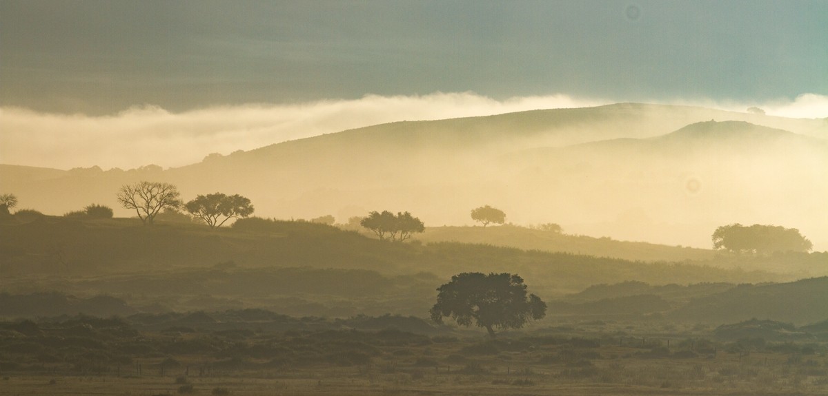 锡林格勒-图嘎-中关村在线摄影论坛