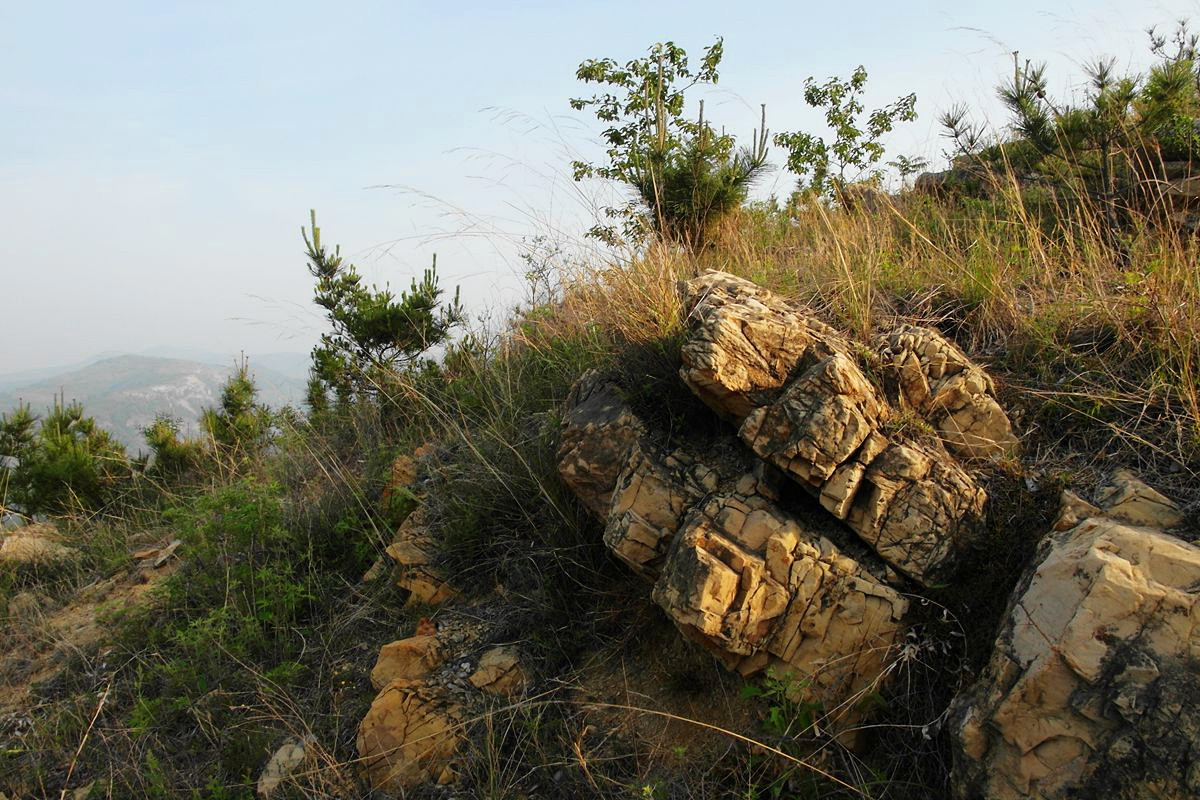 EX1-【亲近大自然】123...11p-中关村在线摄影论坛