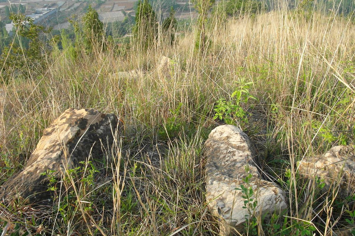 EX1-【亲近大自然】123...11p-中关村在线摄影论坛