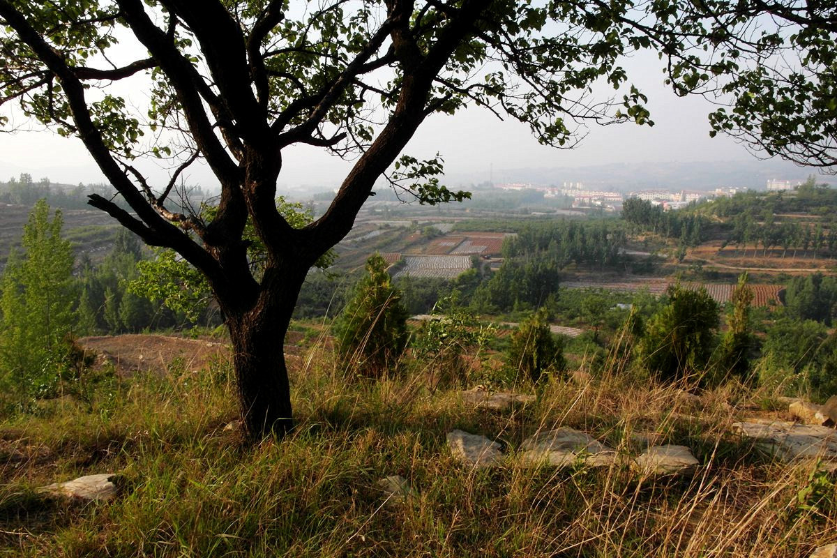 EX1-【亲近大自然】123...11p-中关村在线摄影论坛