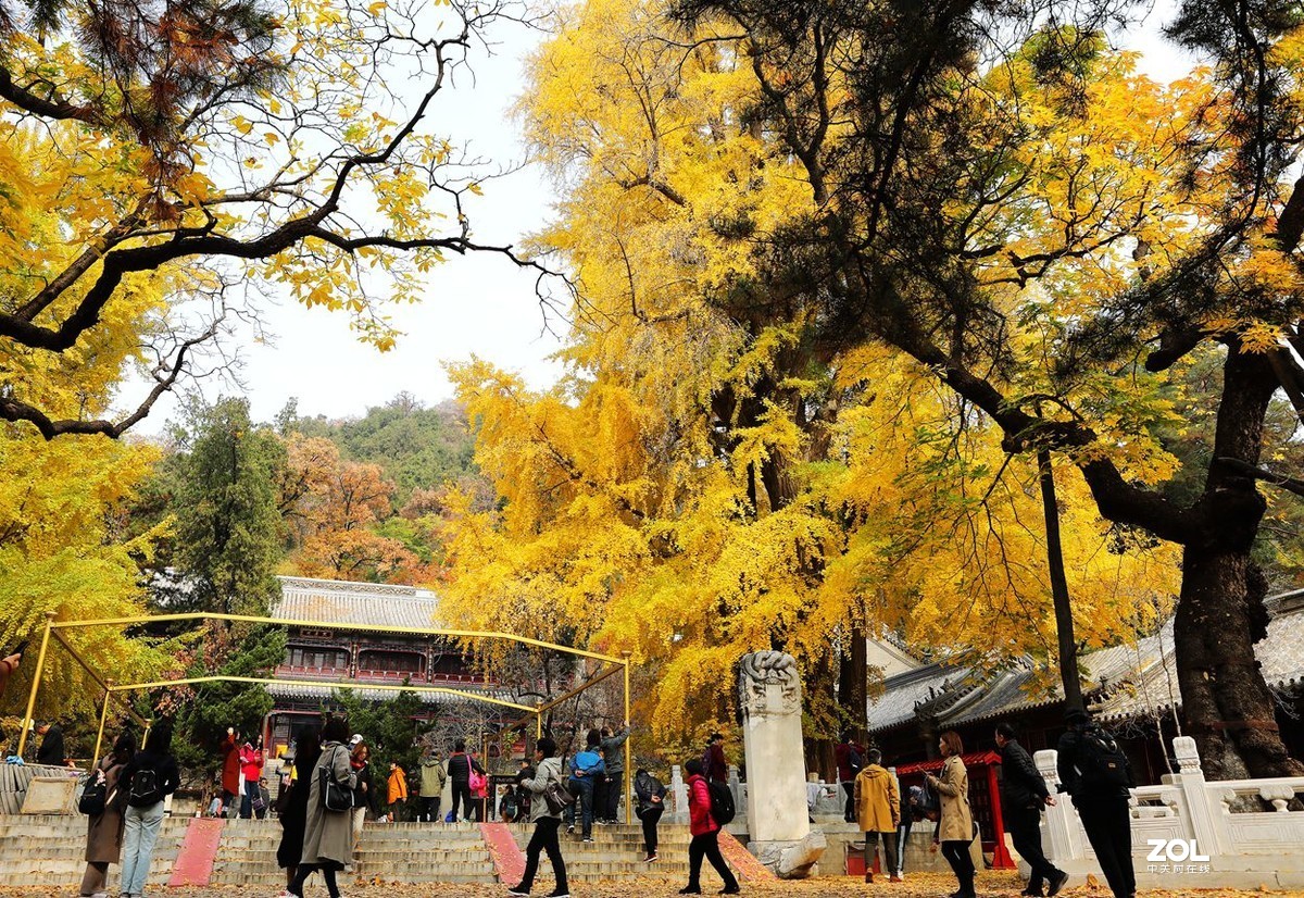 京西 潭柘寺 2-中关村在线摄影论坛