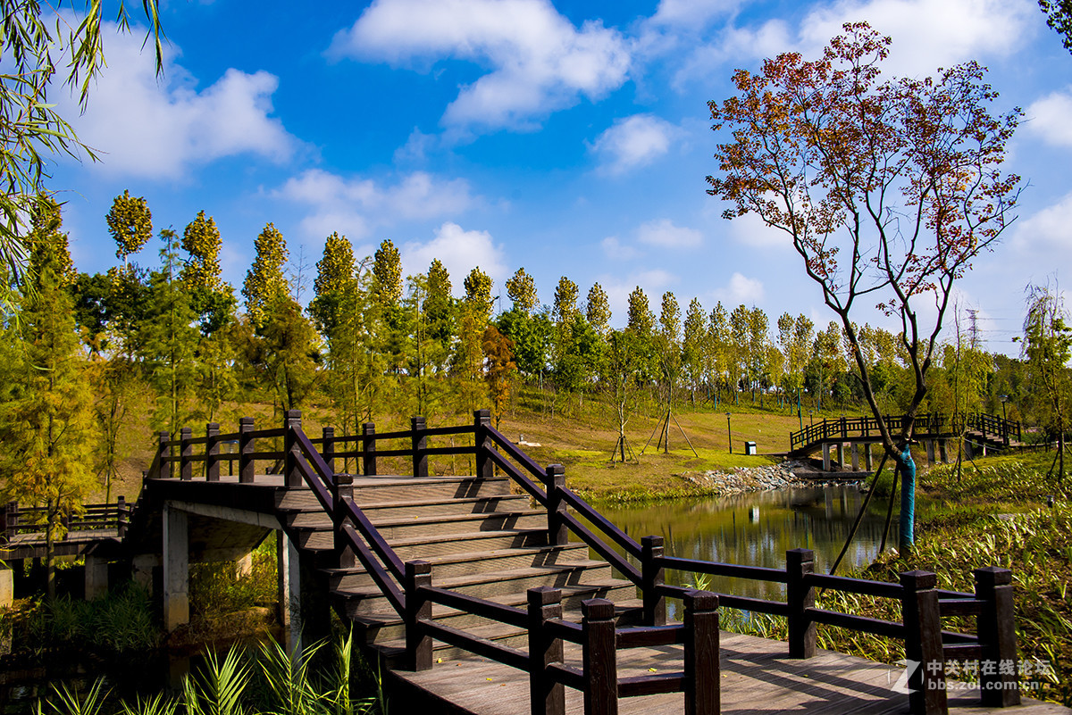 公园秋景小品-中关村在线摄影论坛