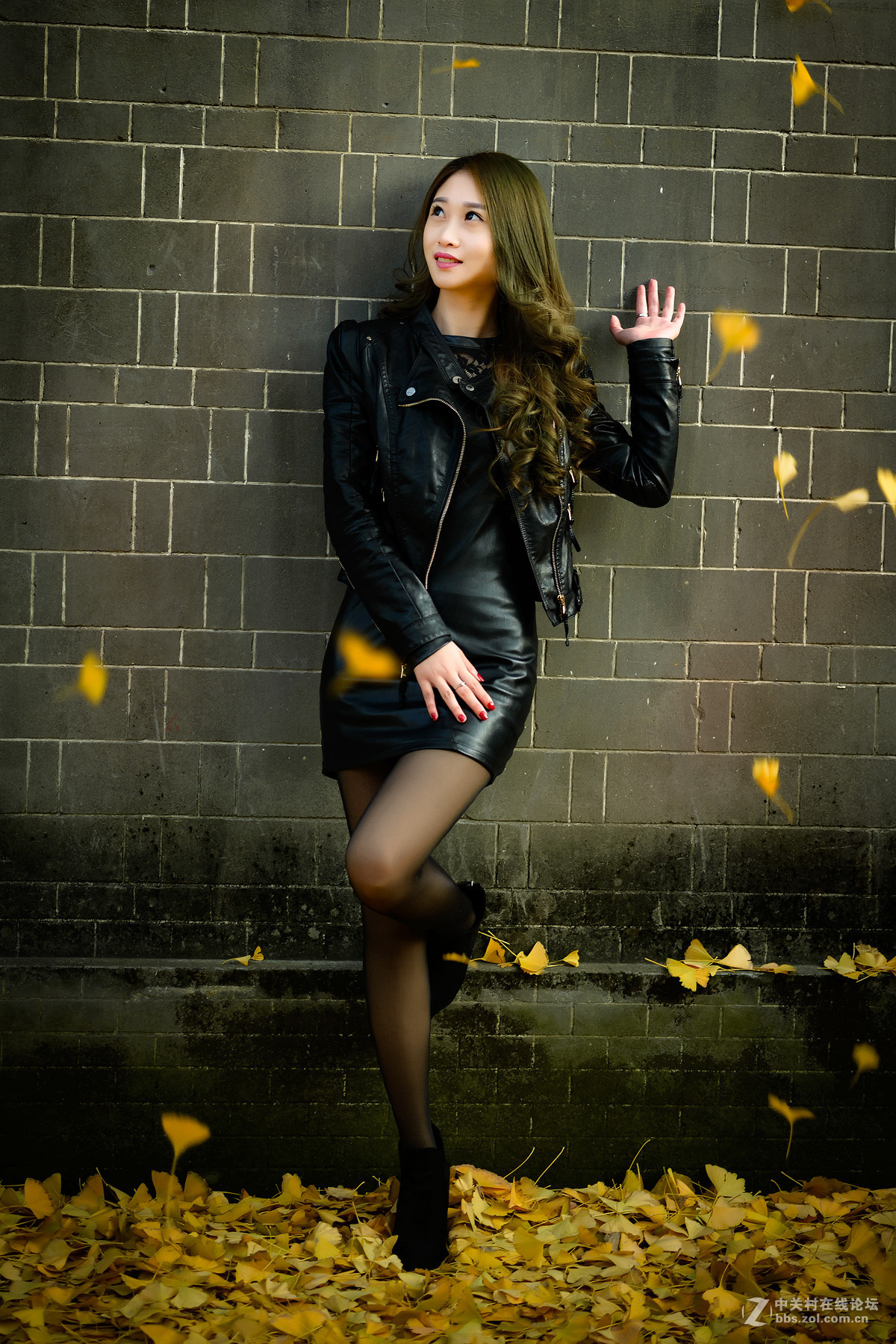 杨柳-中关村在线摄影论坛