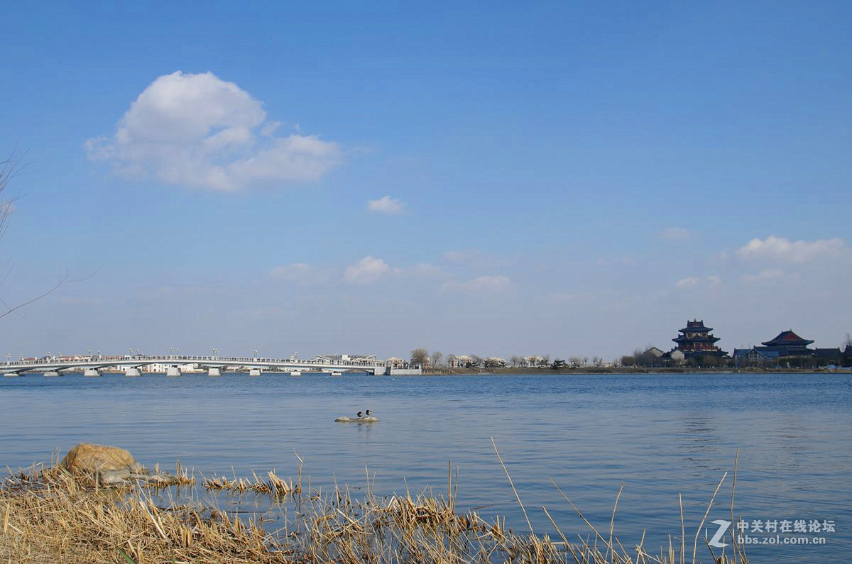 『宁静安逸』123...12P-中关村在线摄影论坛