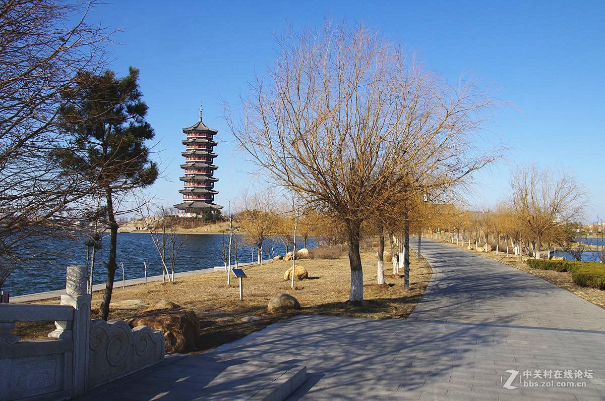 『宁静安逸』123...12P-中关村在线摄影论坛