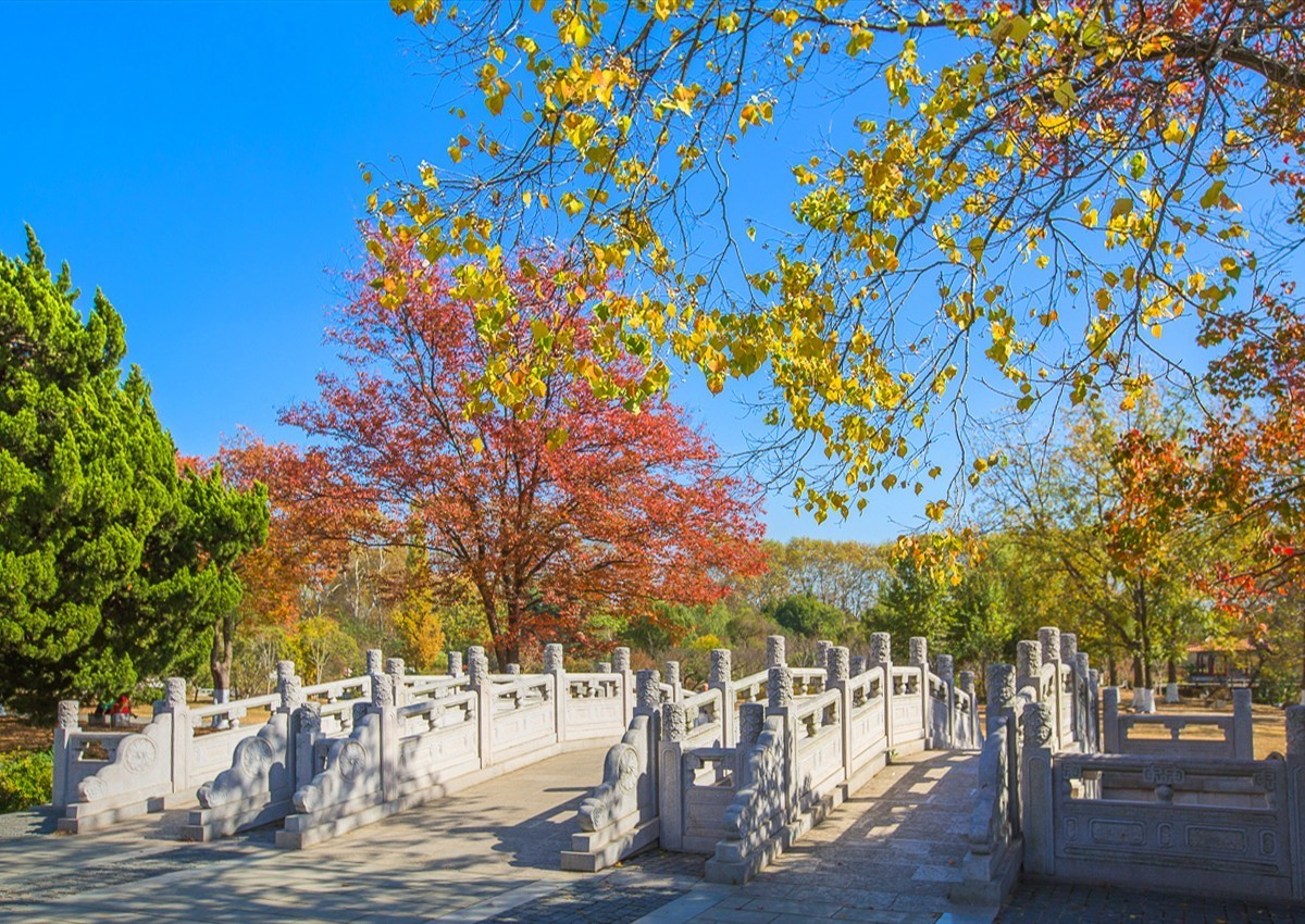 2019-11-25南京孙权纪念馆-中关村在线摄影论坛