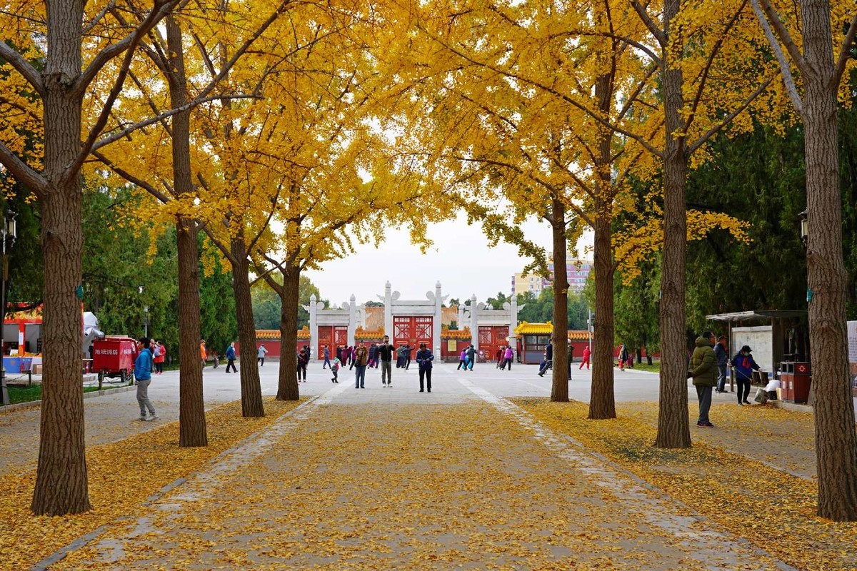 索尼a7R3，24-105镜头，手机发帖-中关村在线摄影论坛