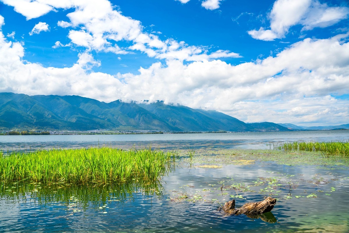 彩云之南-中关村在线摄影论坛