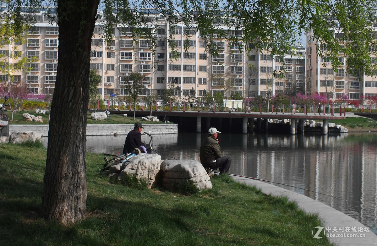 『可以静心』123...11P-中关村在线摄影论坛