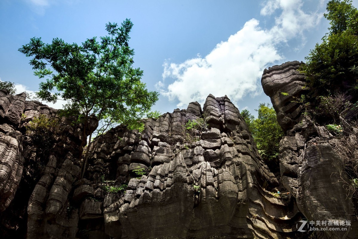 恩施梭布垭石林-中关村在线摄影论坛