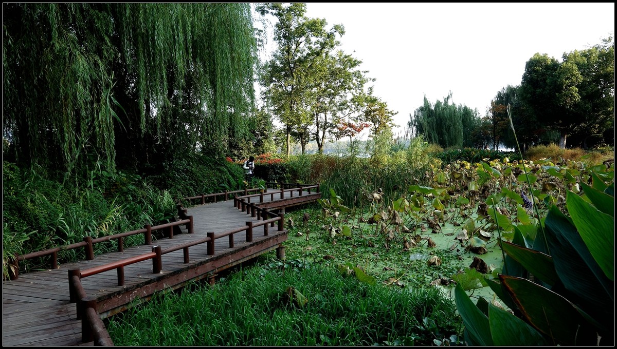 走湖随拍-中关村在线摄影论坛