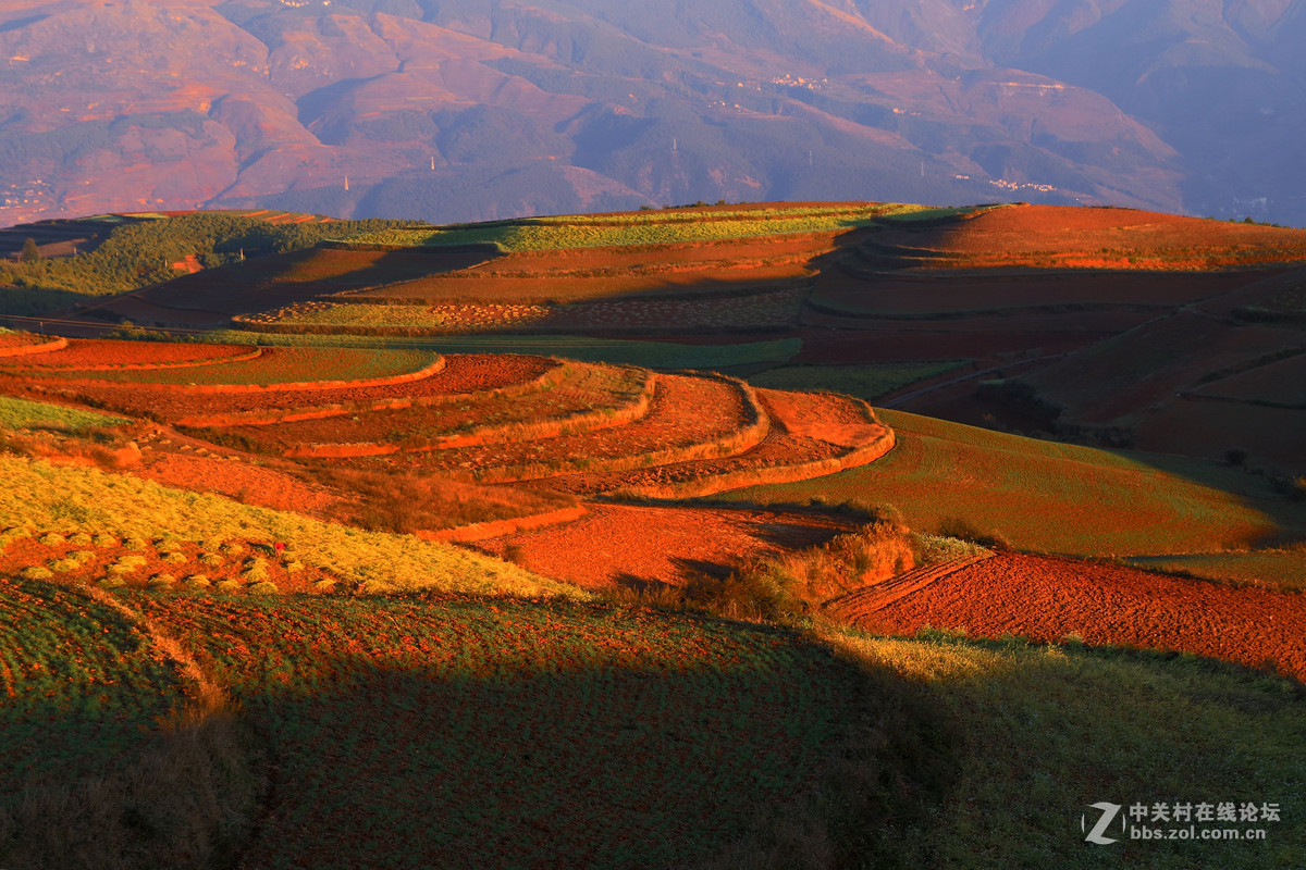 彩云之南-中关村在线摄影论坛