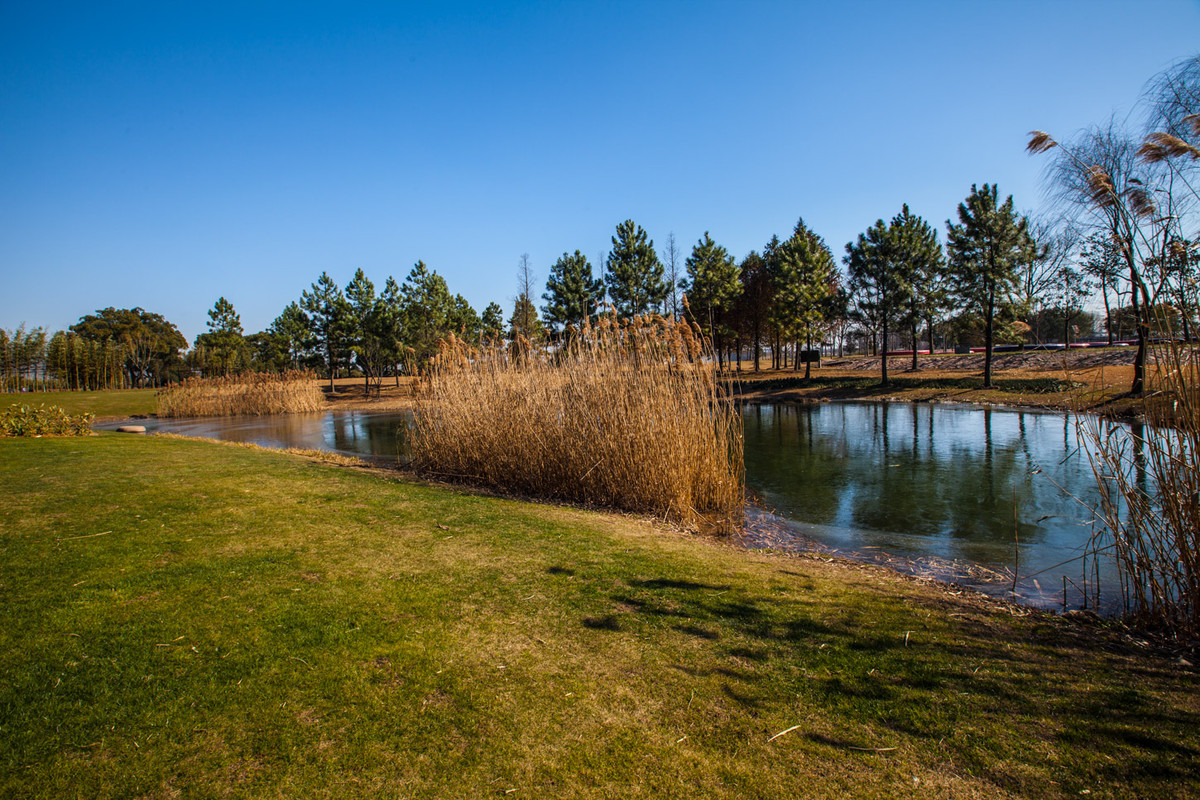 上海辰山 8-中关村在线摄影论坛