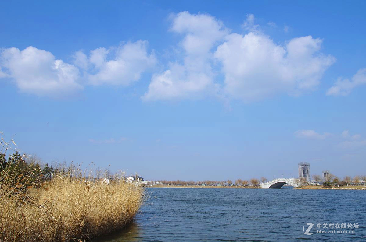 『白云悠悠』123...12P-中关村在线摄影论坛