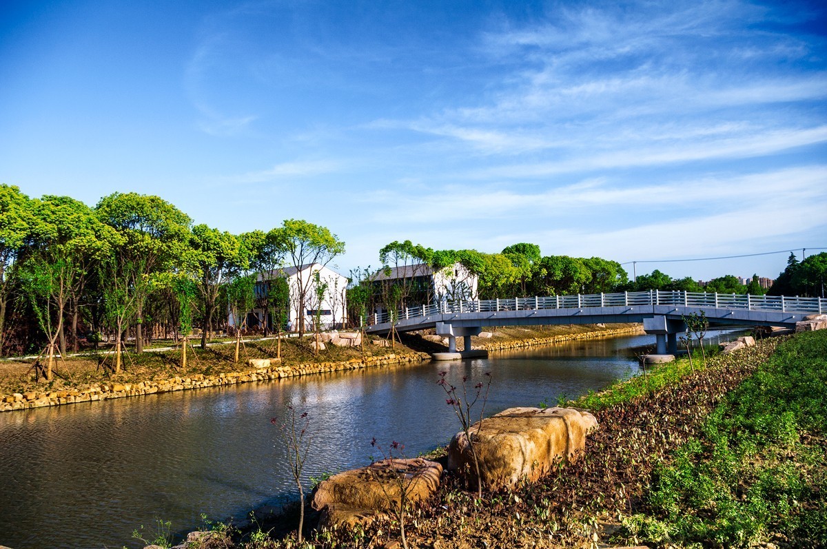 刚刚初建的浦江郊野公园部分景观-中关村在线摄影论坛