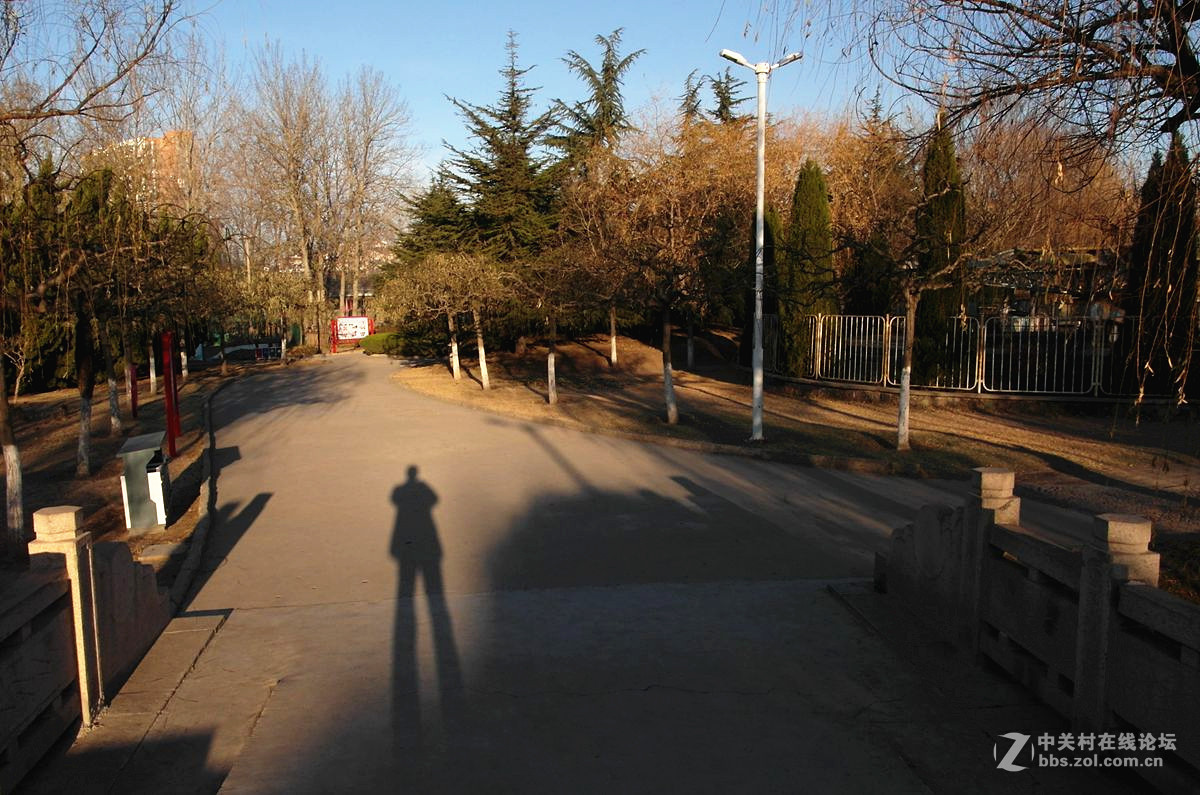 『老公园早晨的光影』123...12P-中关村在线摄影论坛