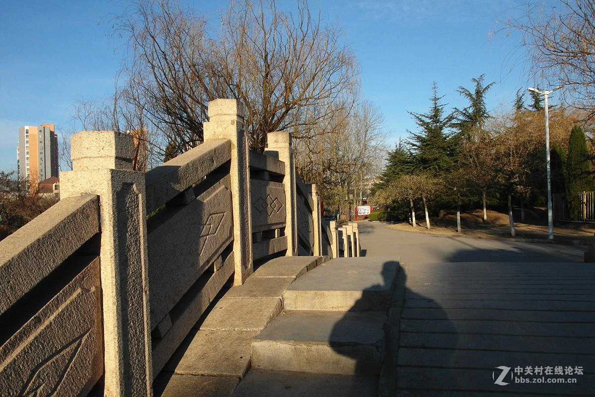 『老公园早晨的光影』123...12P-中关村在线摄影论坛