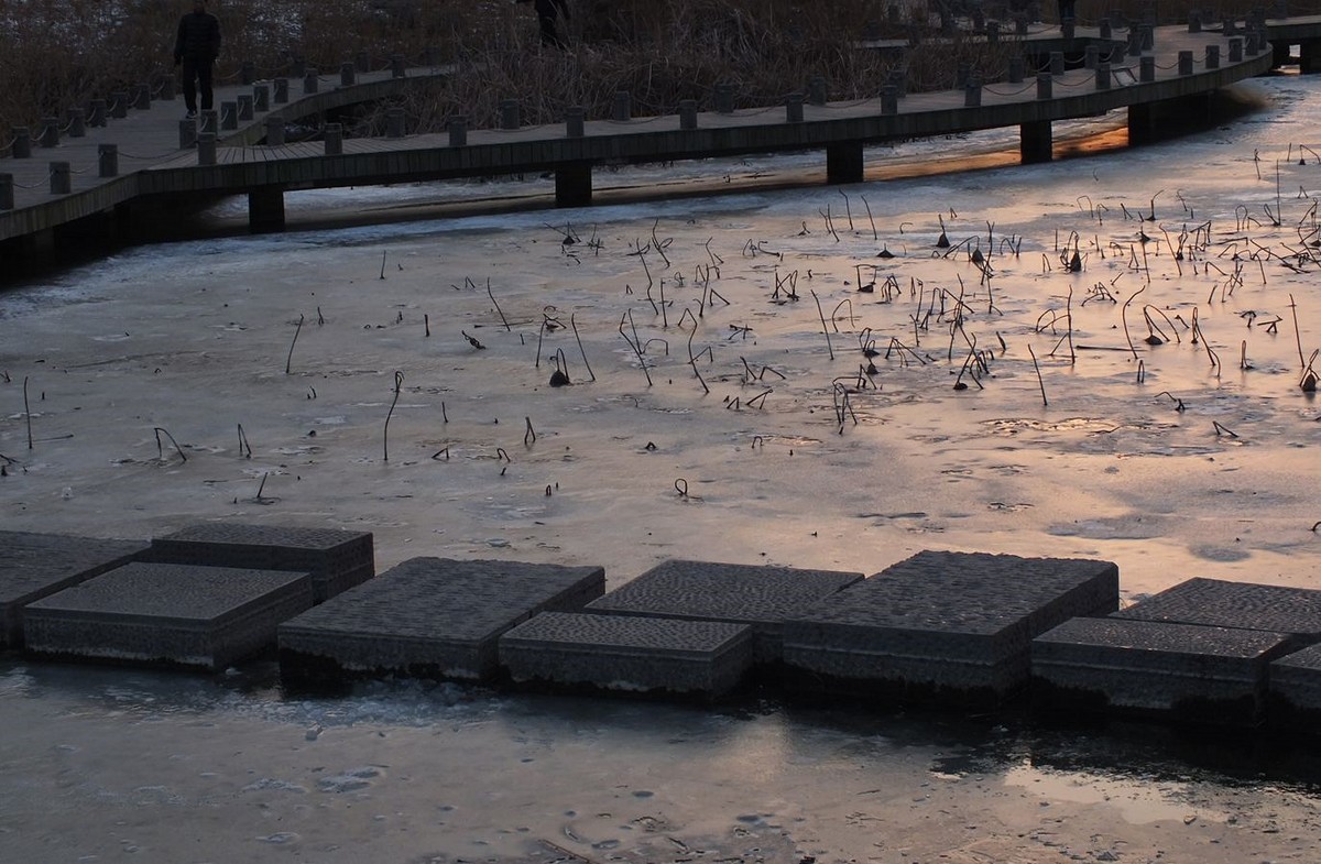 『2018.2.1傍晚』123...12P-中关村在线摄影论坛