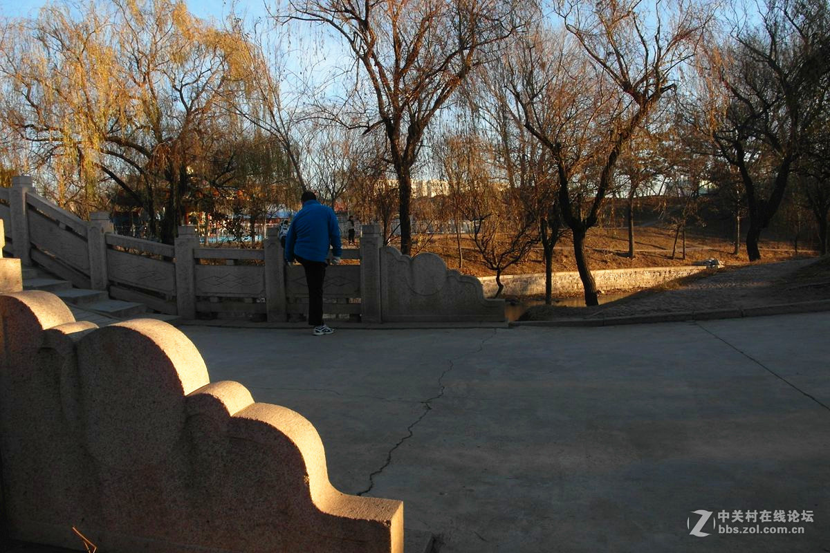 『老公园早晨的光影』123...12P-中关村在线摄影论坛