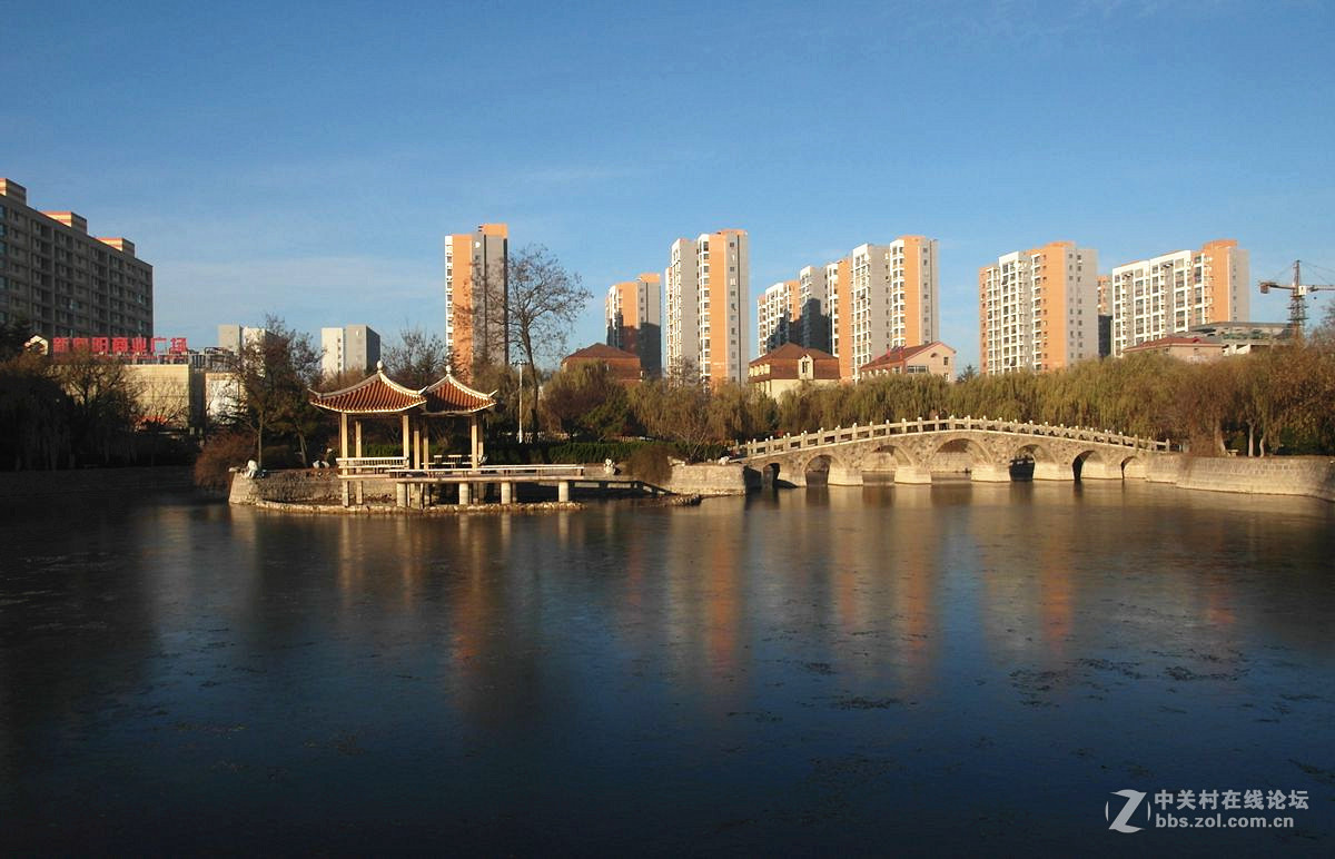 『老公园早晨的光影』123...12P-中关村在线摄影论坛