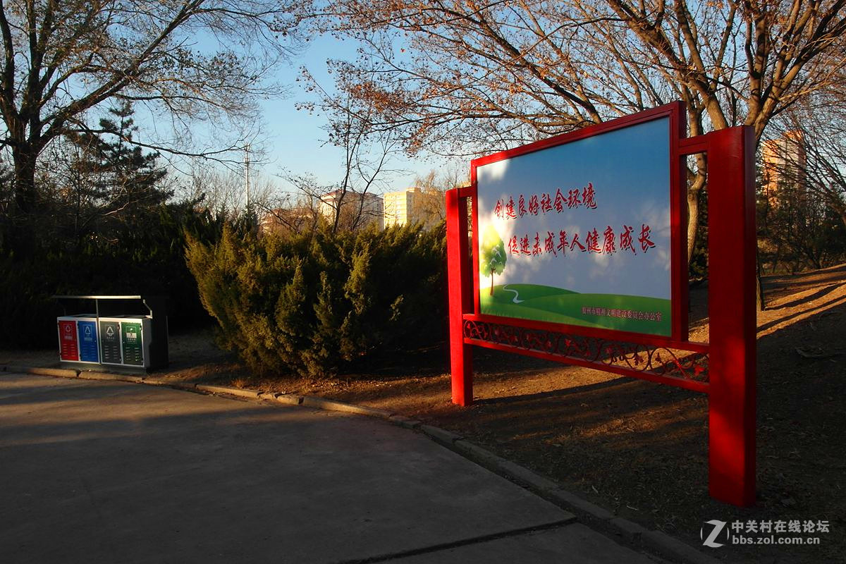 『老公园早晨的光影』123...12P-中关村在线摄影论坛