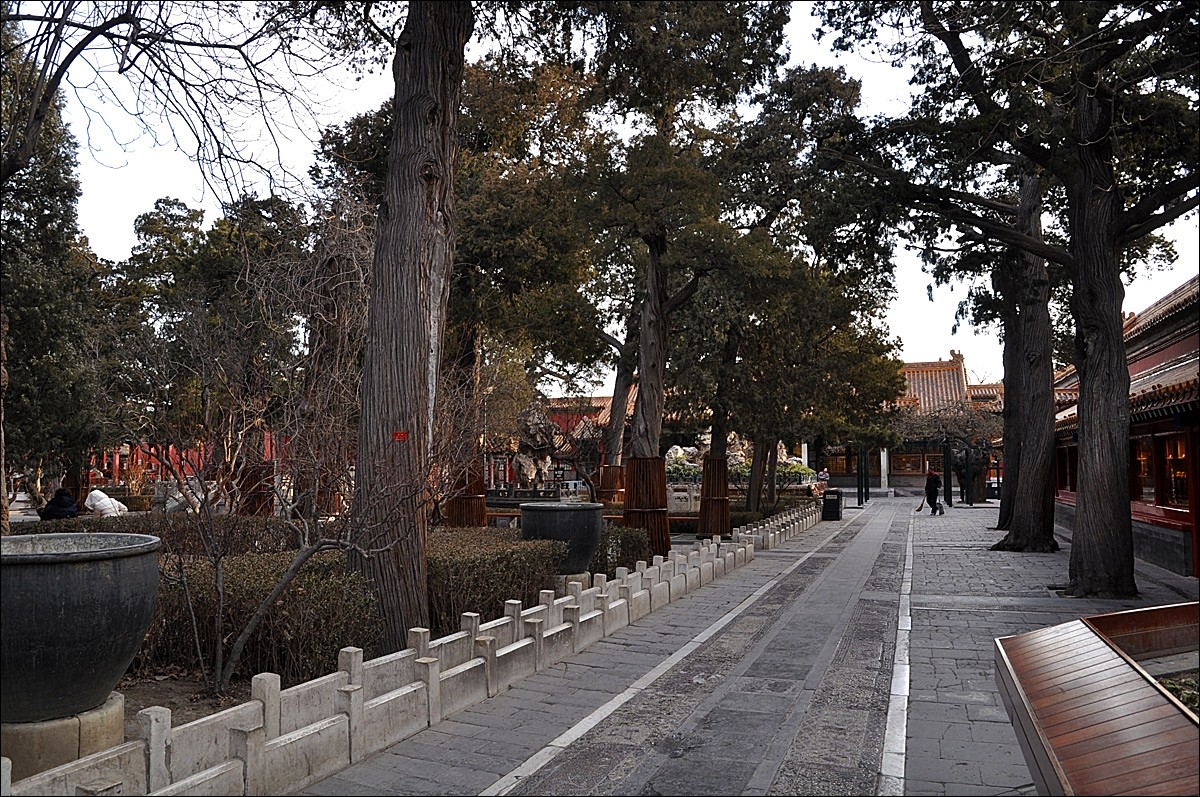 2016年北京故宫（一个人的故宫：御花园）-3-中关村在线摄影论坛