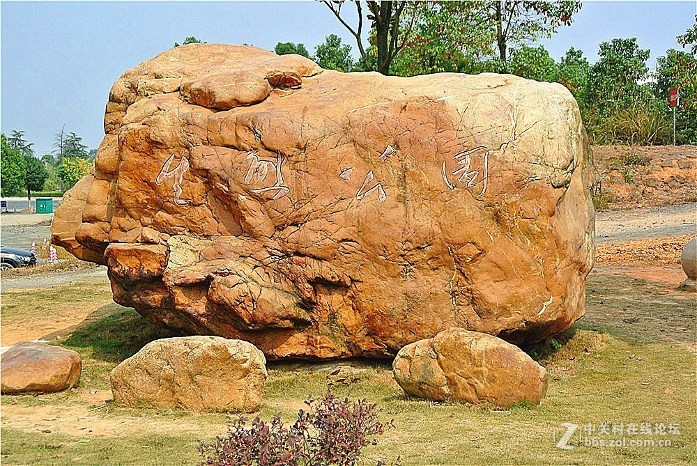 随拍（湿地公园）8 s5-中关村在线摄影论坛