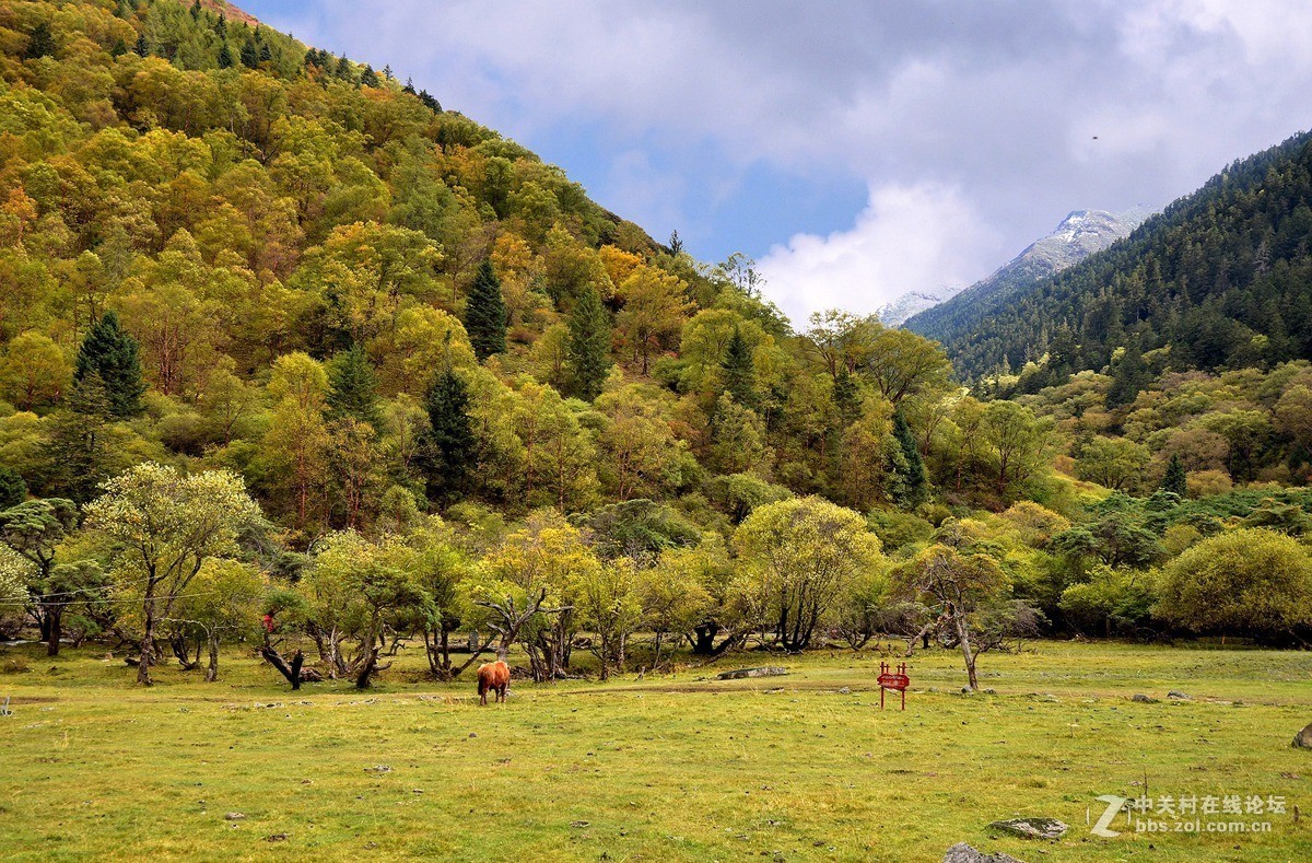 夹金山-中关村在线摄影论坛