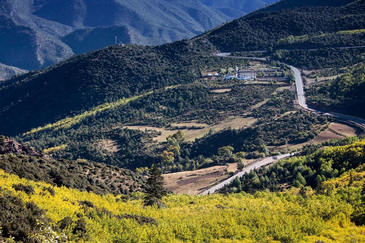 [原创] 第四次进藏篇12：林木繁茂 红拉山 上-中关村在线摄影论坛