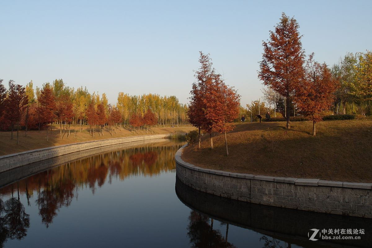 『还是深秋的味道』123...12P-中关村在线摄影论坛