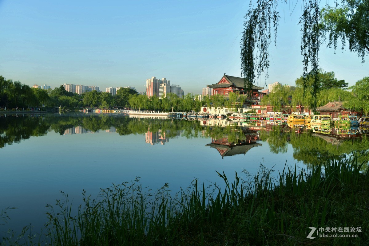 游园赏花-中关村在线摄影论坛