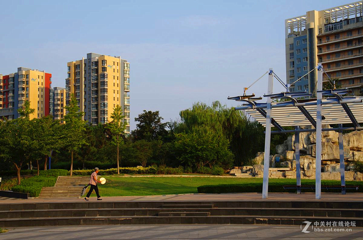 『公园的傍晚』123...11p-中关村在线摄影论坛