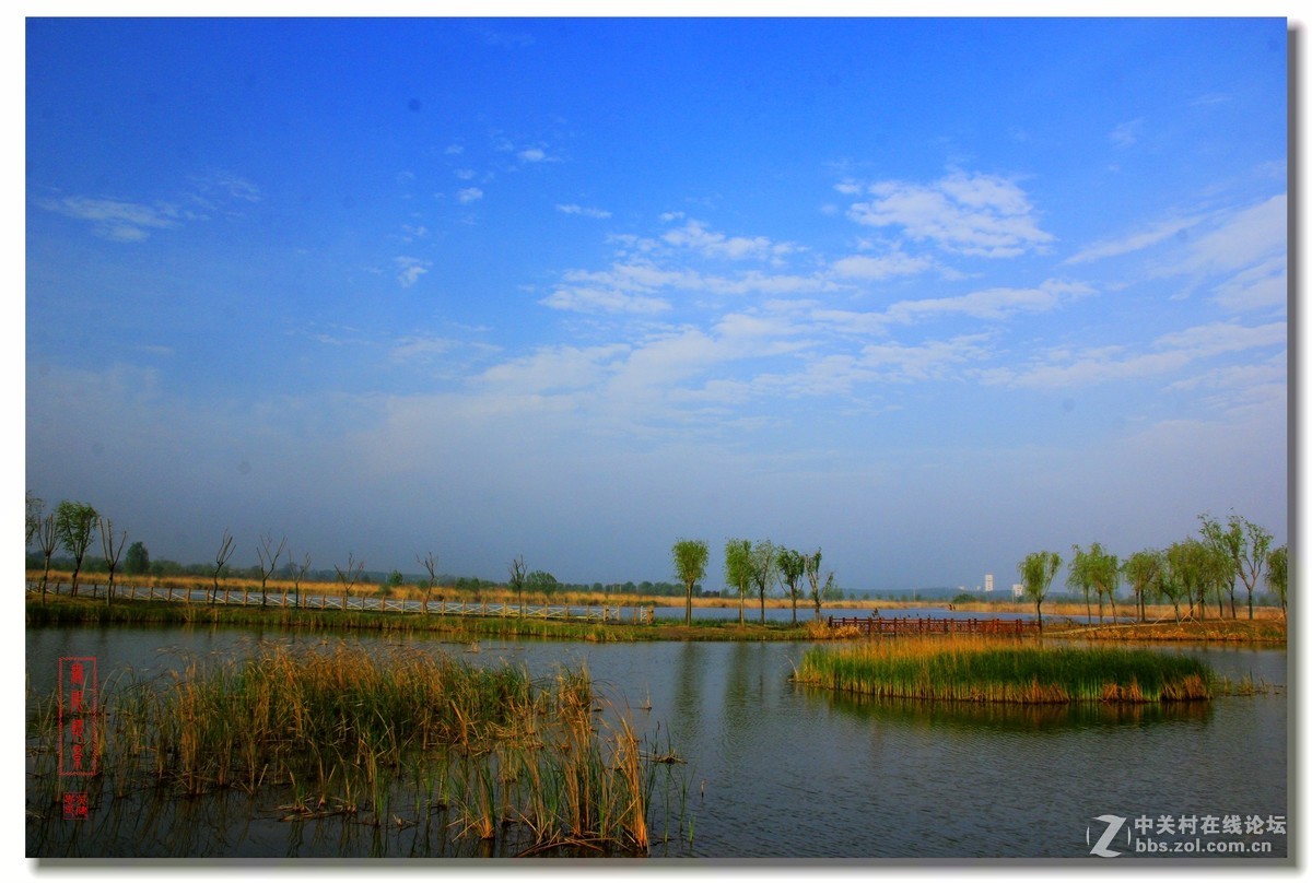 安国湿地风景-中关村在线摄影论坛