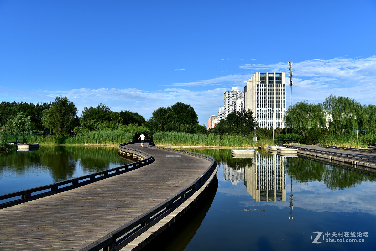 奥林匹克森林公园-中关村在线摄影论坛