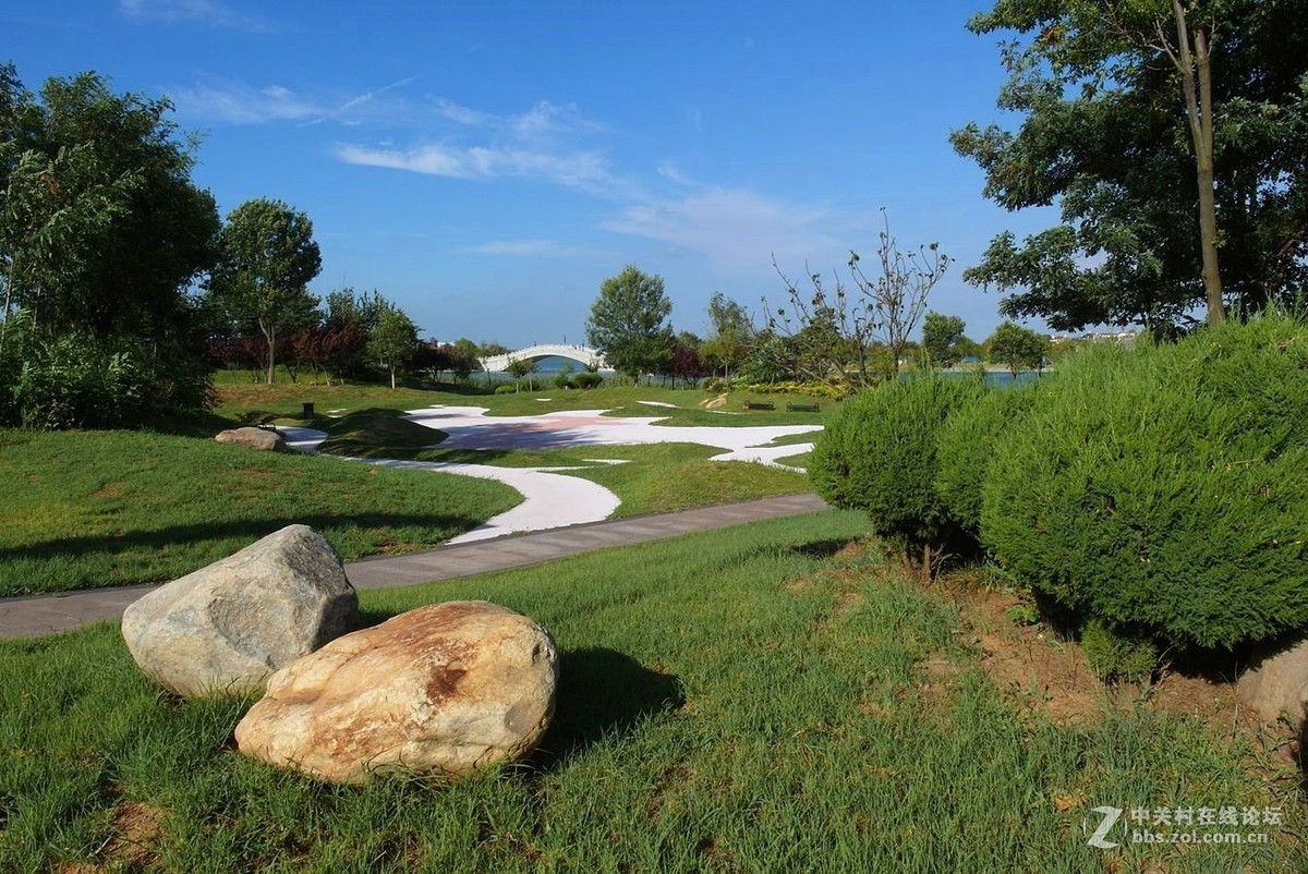 『孔子文化园速写』123...15p-中关村在线摄影论坛