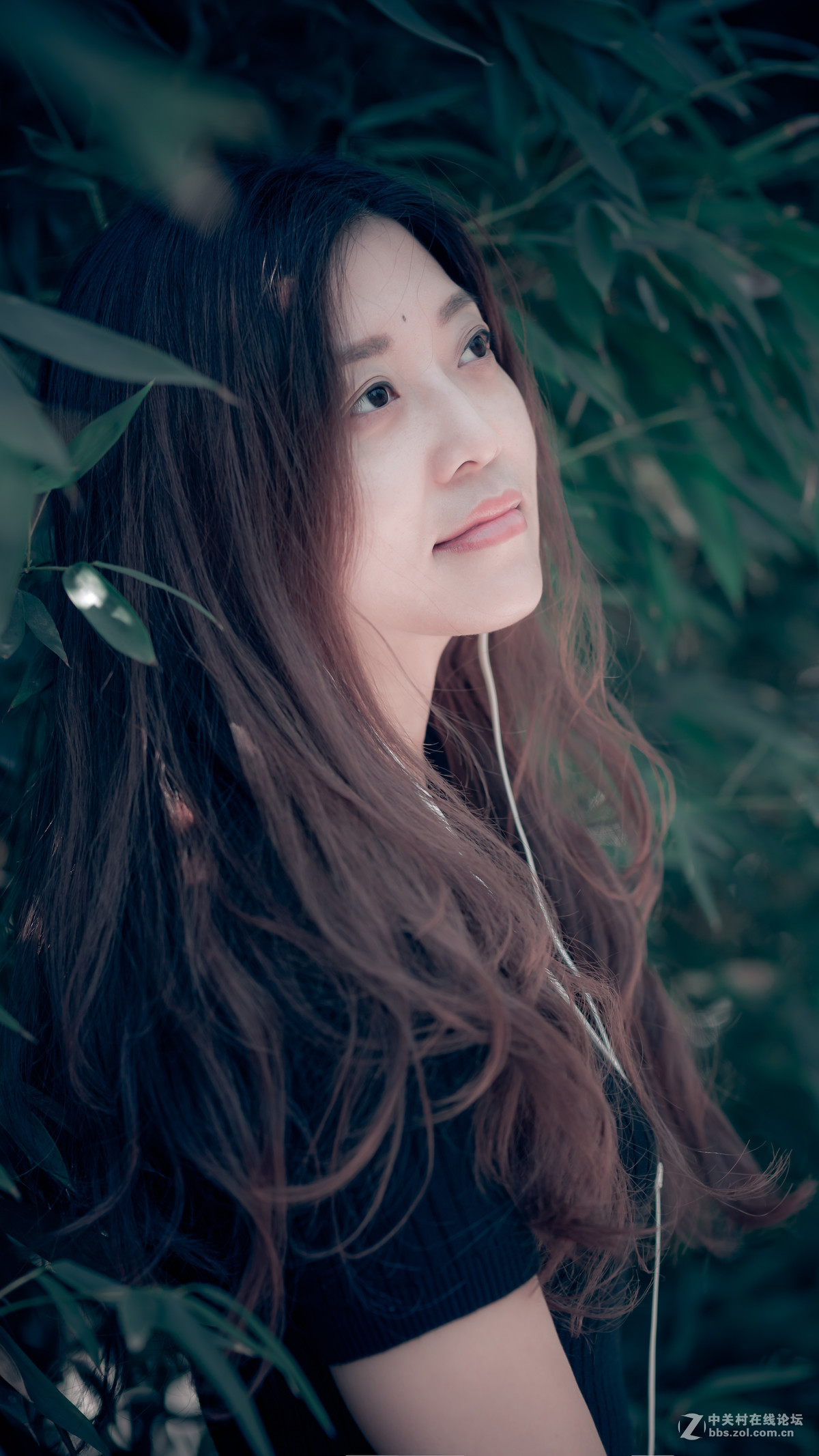 拍摄于最后十个春天-中关村在线摄影论坛