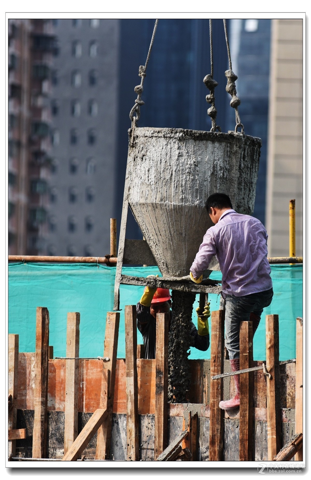 尼康小钢炮试拍-中关村在线摄影论坛