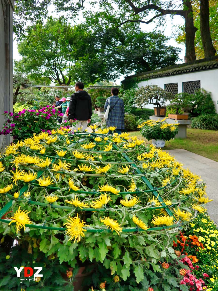 重阳节纪实 醉白池 (4)-中关村在线摄影论坛