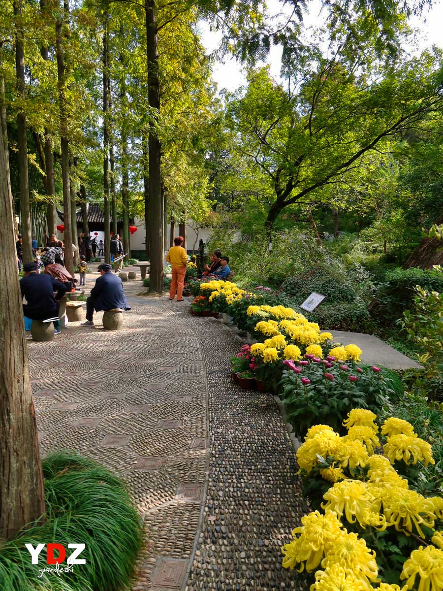 重阳节纪实 醉白池 (4)-中关村在线摄影论坛