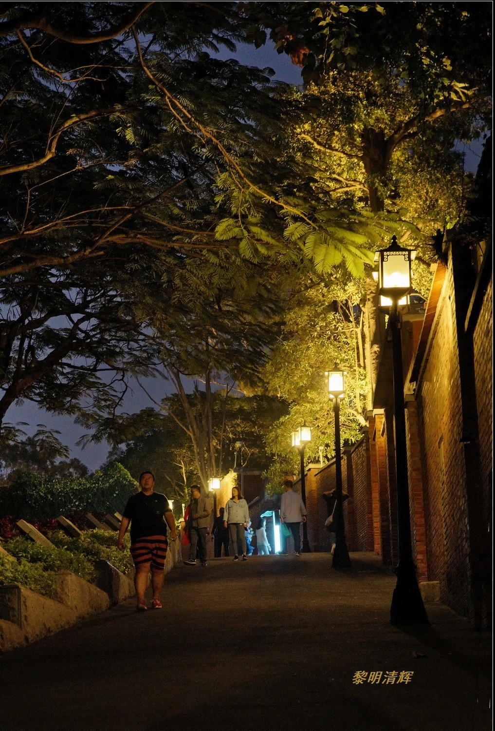 厦门之旅:鼓浪屿之夜 中关村在线摄影论坛