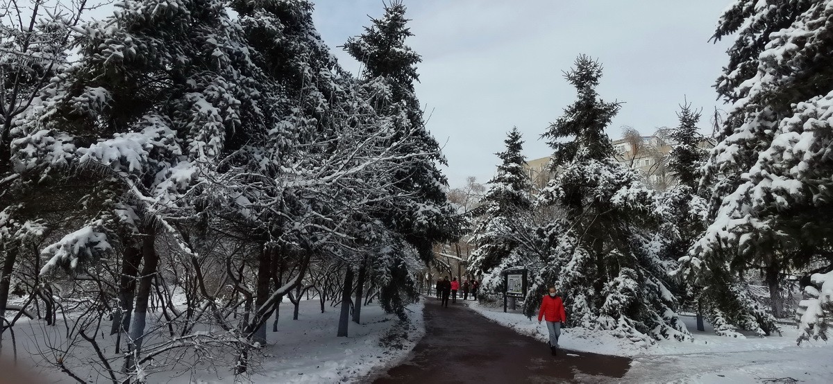 雾凇-中关村在线摄影论坛