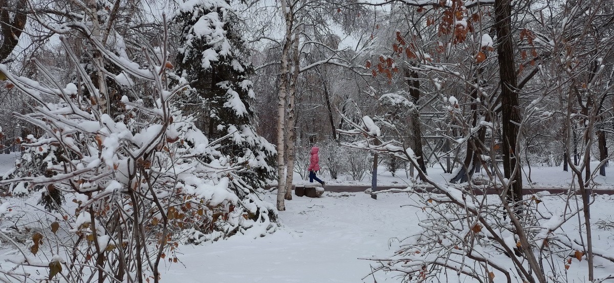 雾凇-中关村在线摄影论坛