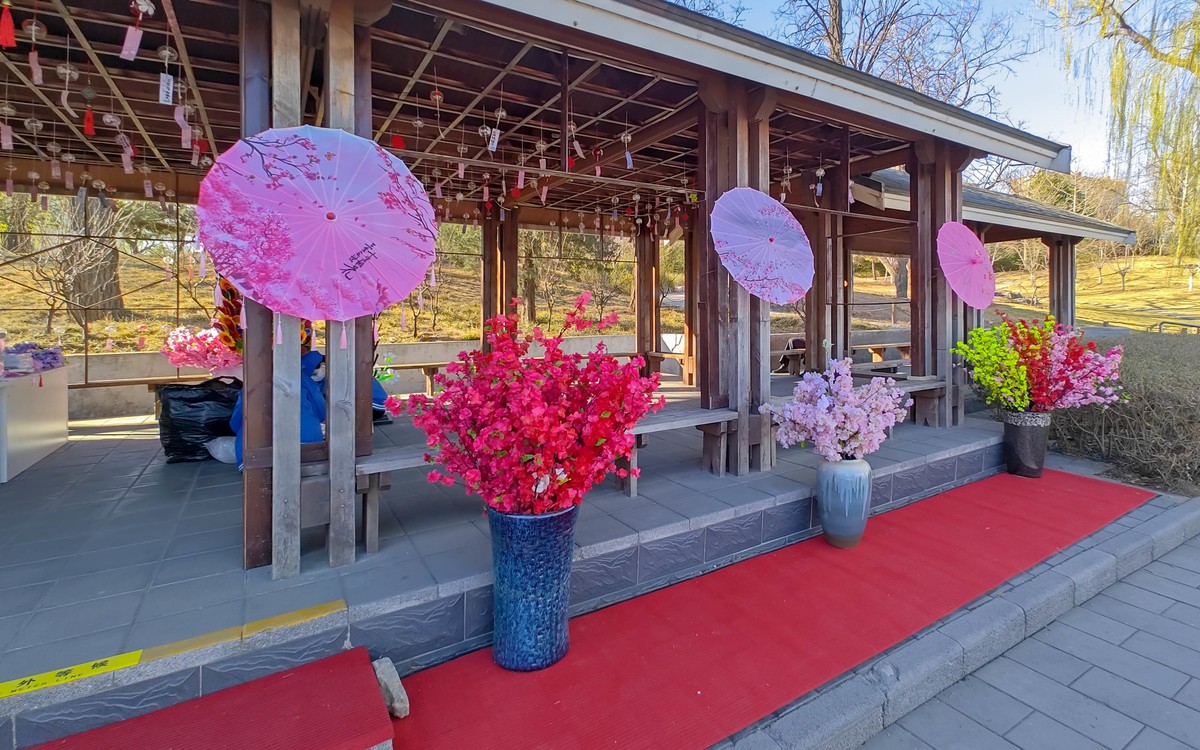 手机随拍《2》-中关村在线摄影论坛