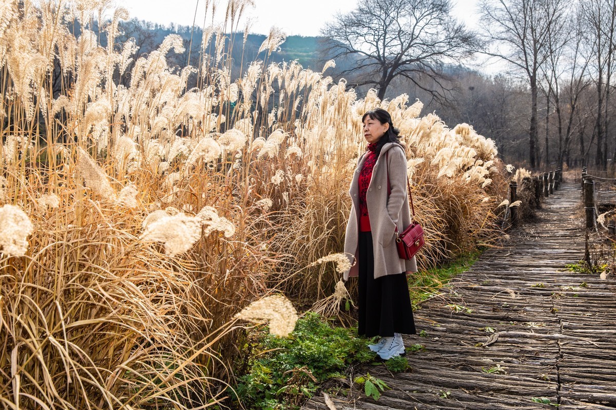 彭村药谷-中关村在线摄影论坛