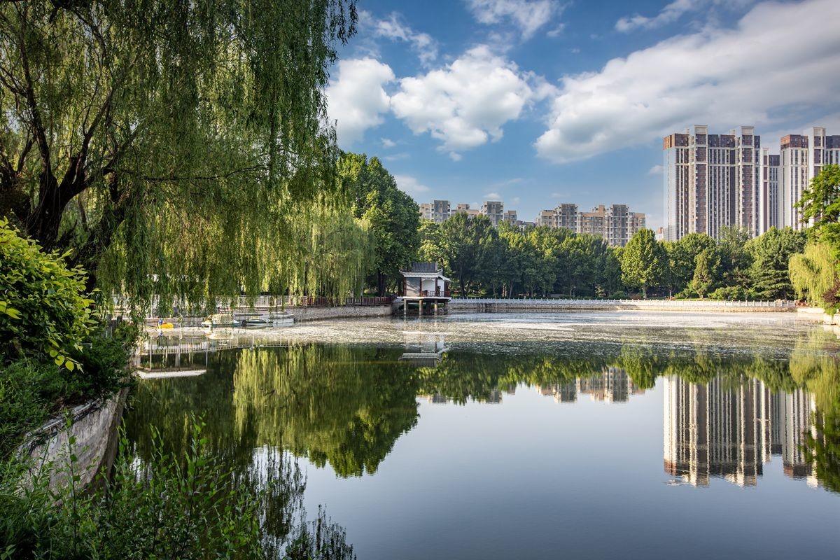 裕西公园晨景一组-中关村在线摄影论坛