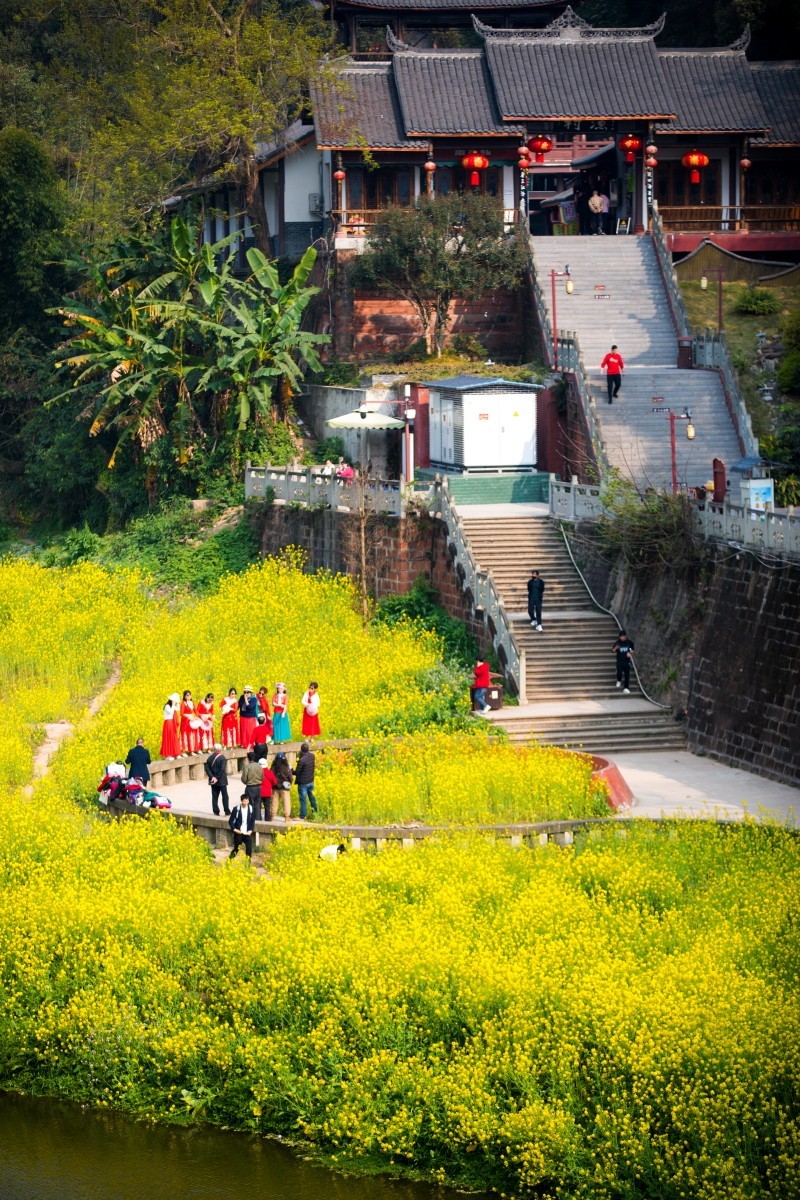 外出随拍（续一）。-中关村在线摄影论坛