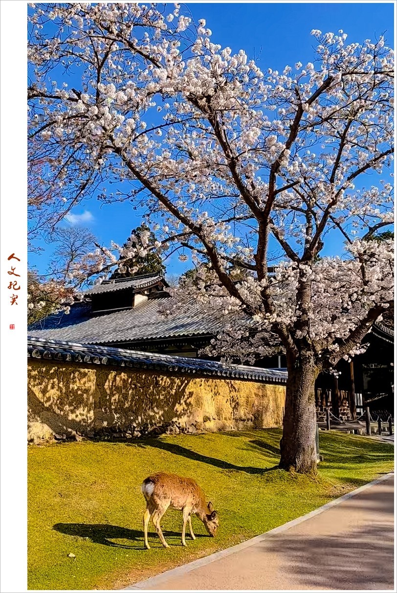 2023年第0335贴-人文纪实美景抓拍（0513F）-中关村在线摄影论坛