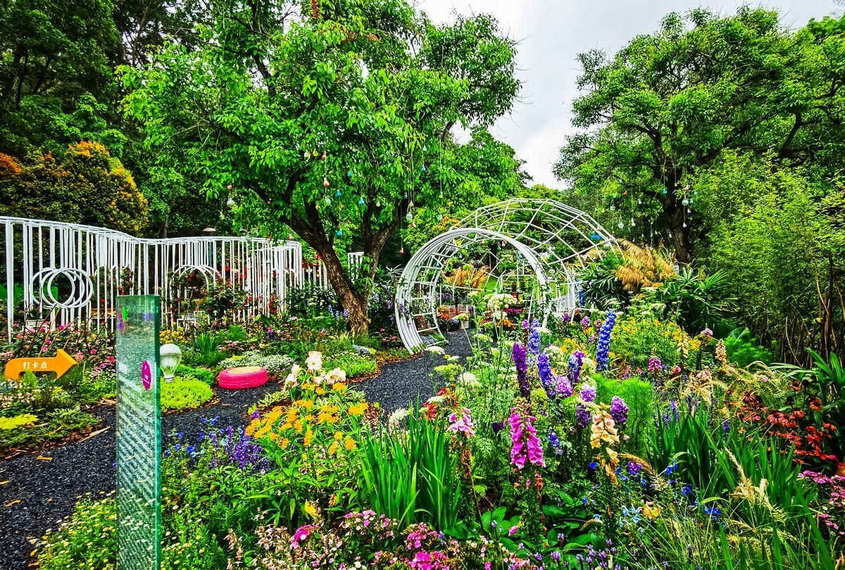 深圳仙湖植物园～掠影-中关村在线摄影论坛