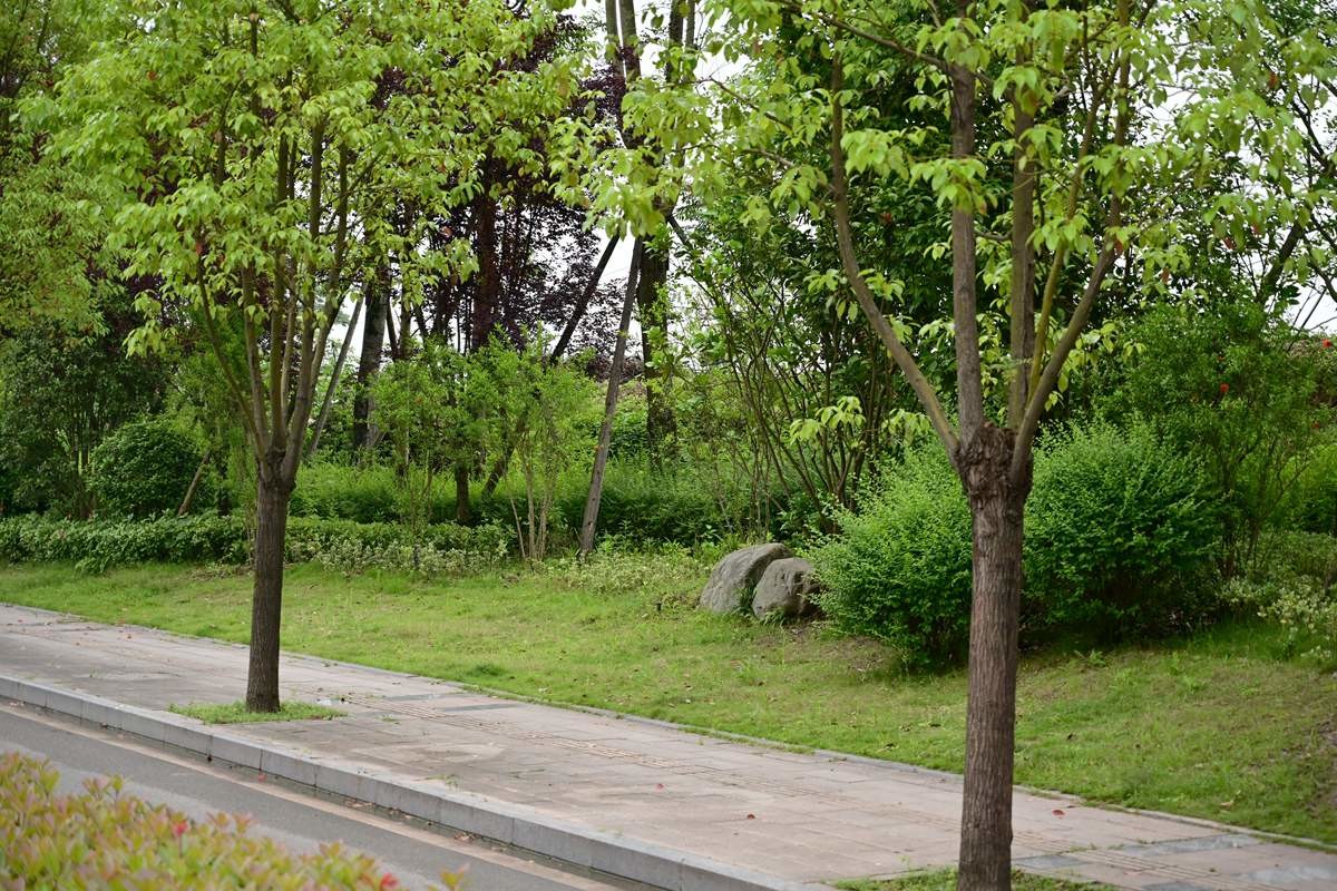 【成都行】{95）}{郫都街景随拍}-中关村在线摄影论坛